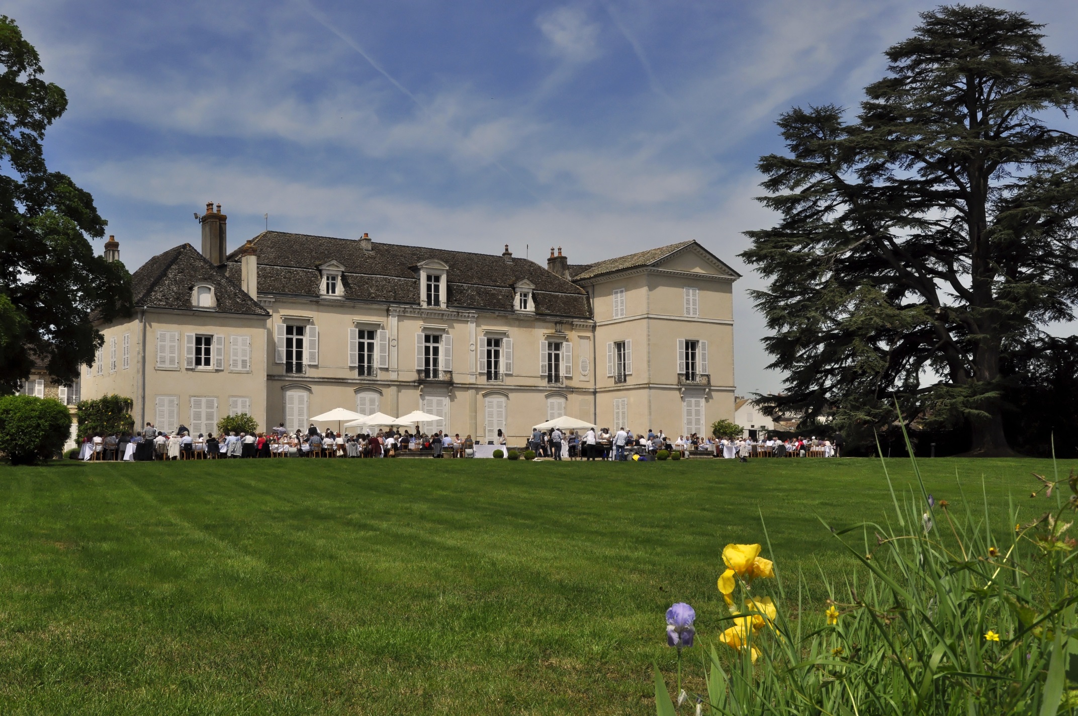 News - Château de Marsannay