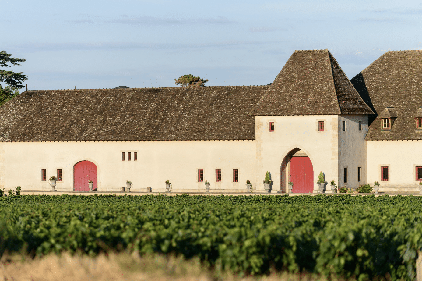 Visites et dégustations au Château de Marsannay - Chateau de Marsannay